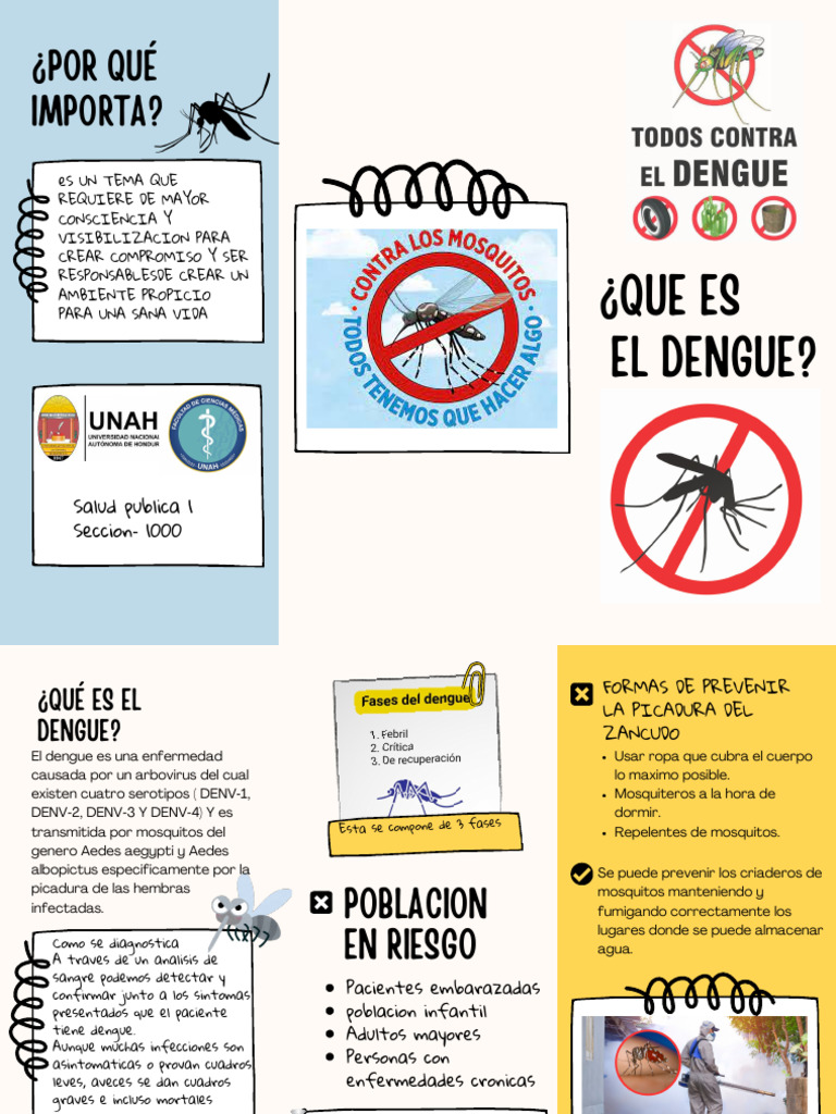 Tríptico sobre el dengue | PDF