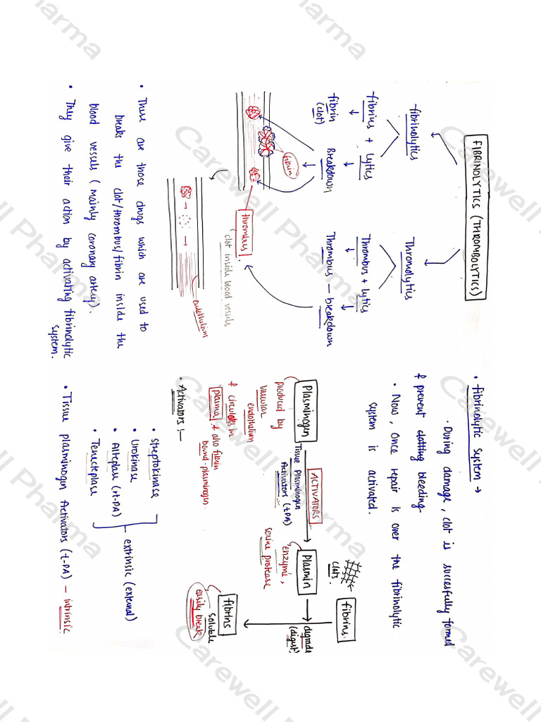 Chapter 3, Unit 2, Pharmacology 2, B Pharmacy 5th - 241028 - 224057 | PDF