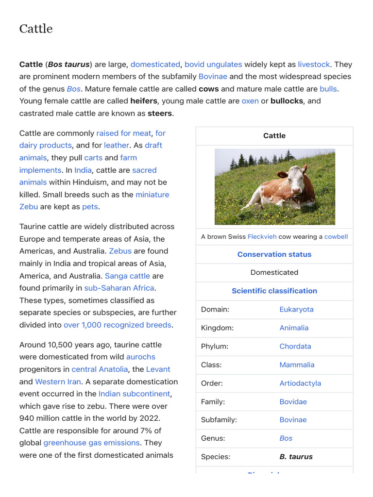 Google | PDF | Cattle | Ruminant