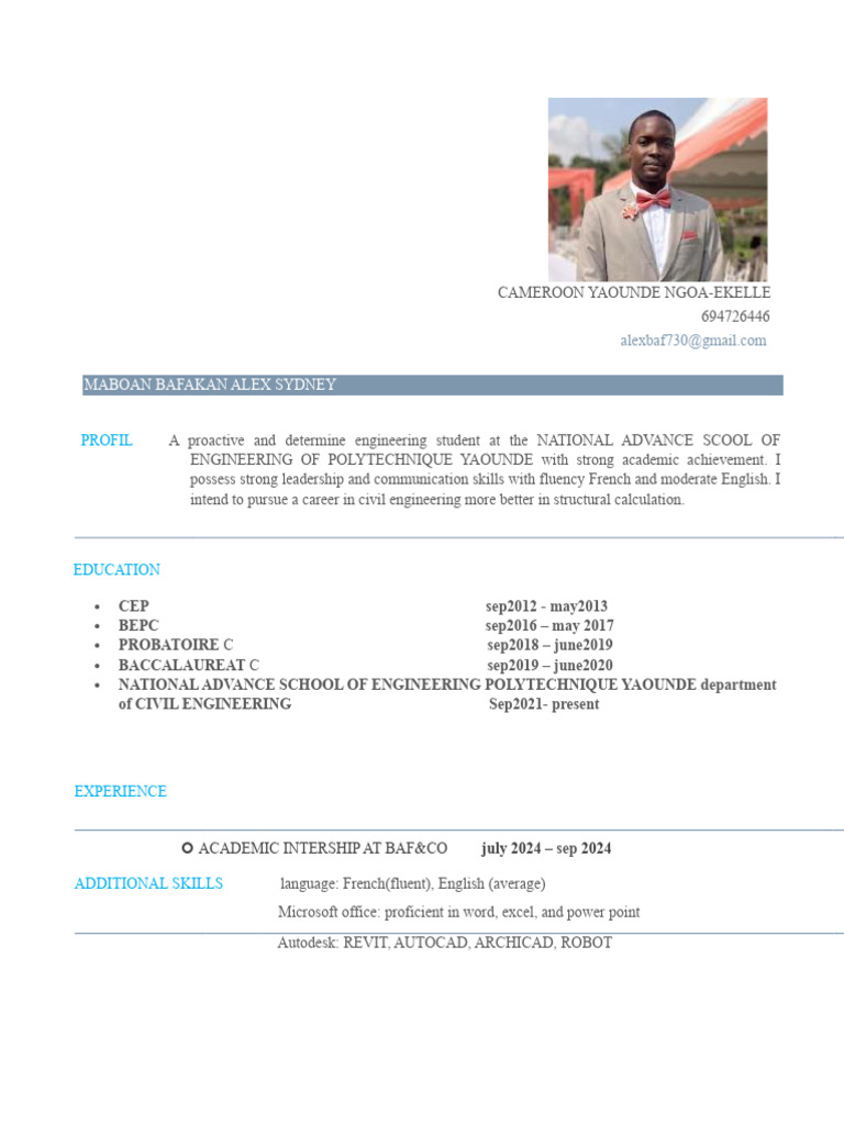 Engineering Student Profile - Cameroon | PDF