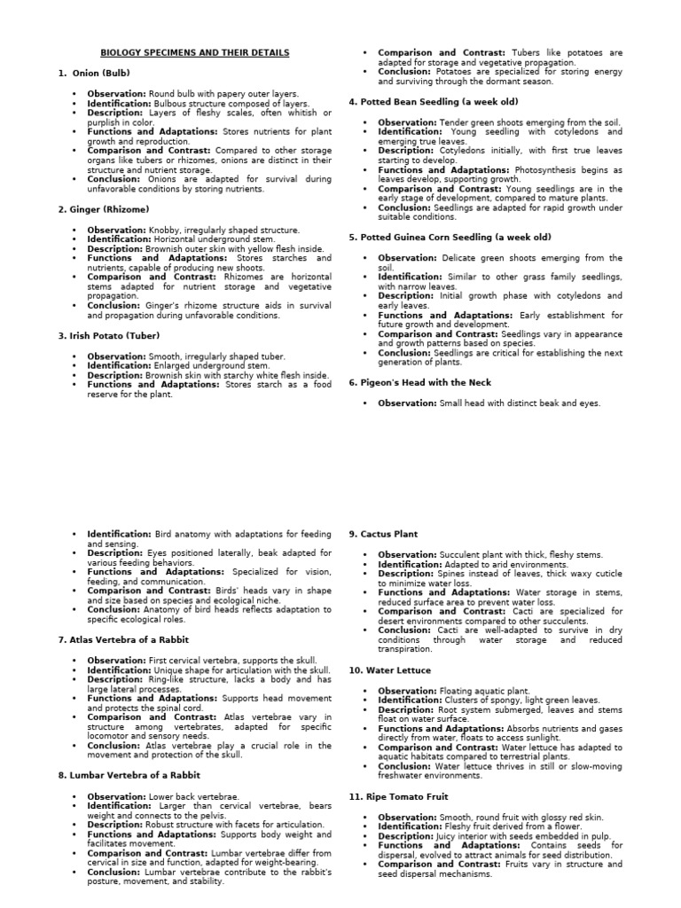 Plant and Animal Specimen Analysis | PDF | Vertebral Column | Fruit