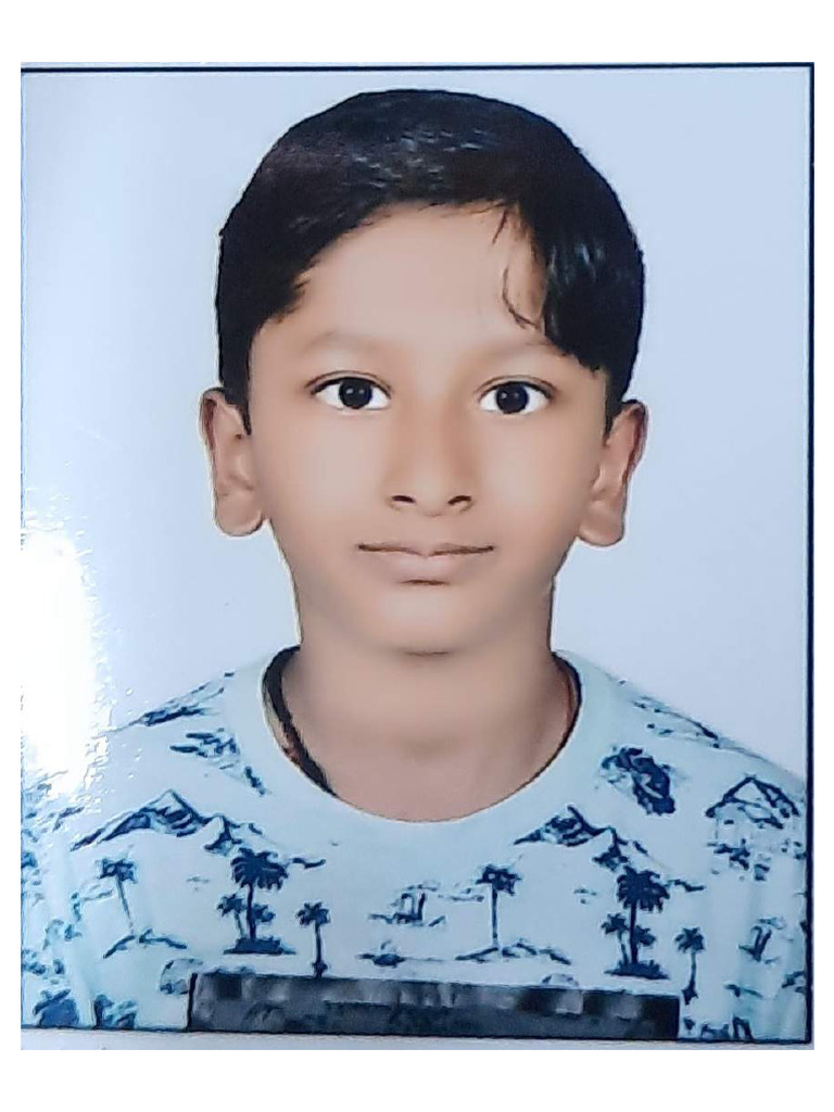 205334-Compressed | PDF