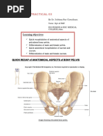 Differences Between Male and Female Pelvis | PDF | Pelvis | Skeletal System