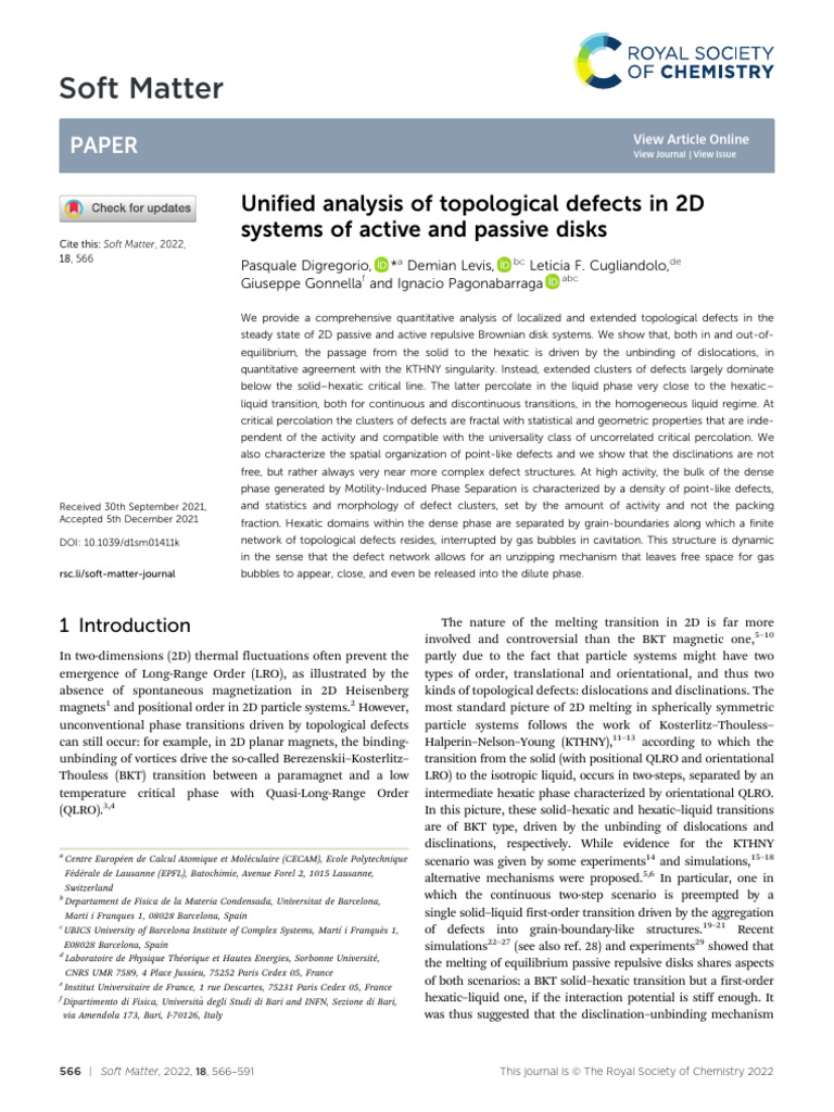 Topological Defects in 2D Disk Systems | PDF | Phase (Matter ...