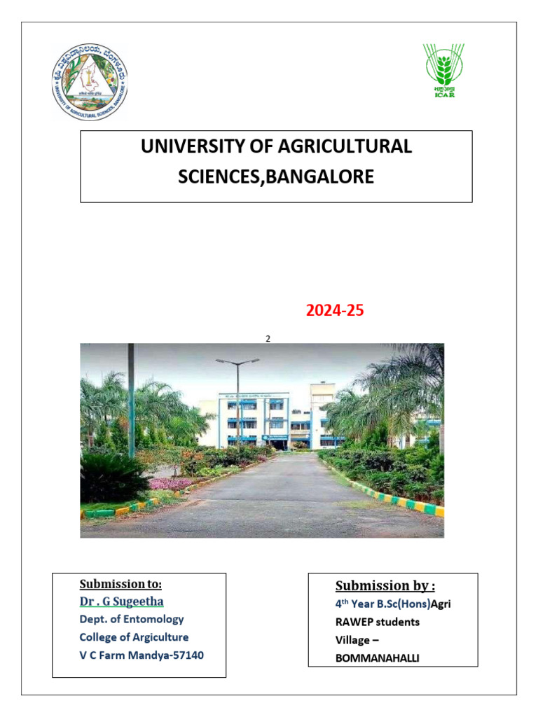 Apiculture RAWE Report 2024-25 | PDF | Beekeeping | Bees