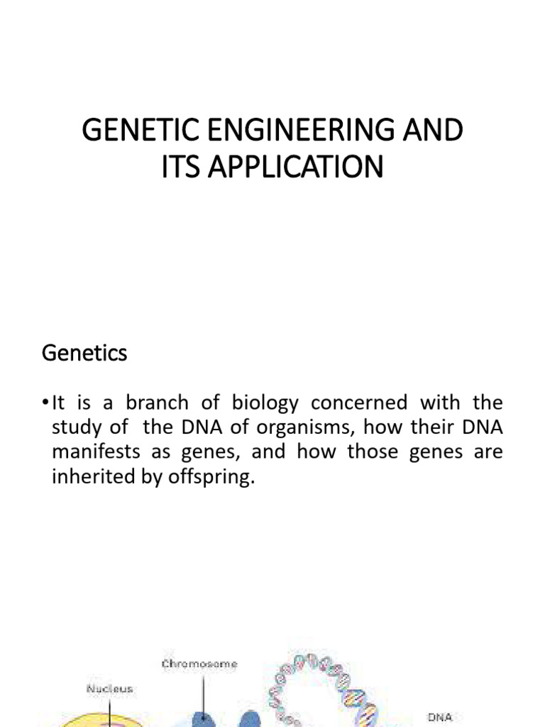 Els Quarter 2 Genetic Engineering and Its Application Lesson 4 Lesson 5 | PDF | Plasmid ...