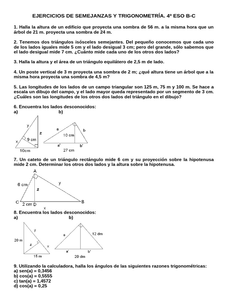 Ejercicios de Semejanzas y Trigonometrc3ada | PDF | Triángulo | Geometría euclidiana