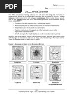 Cellular Communication and Signaling Key | PDF | Cell Signaling ...