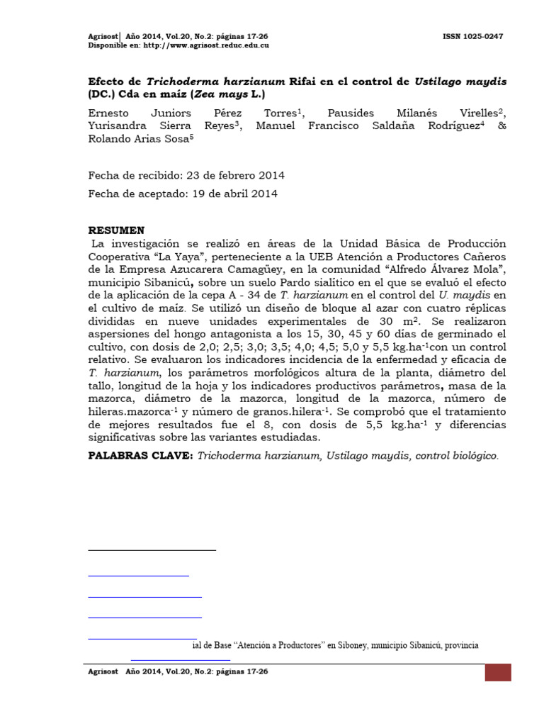 Control de Ustilago maydis con Trichoderma | PDF | Agricultura | Hongo