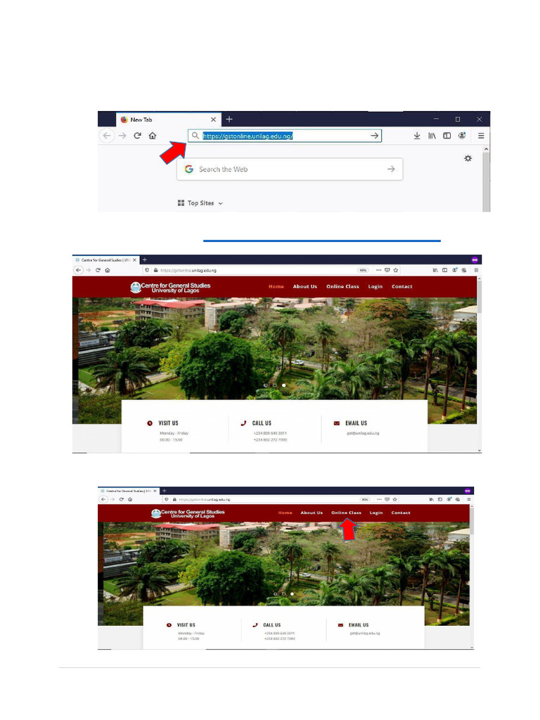 GST Online Login Instructions | PDF