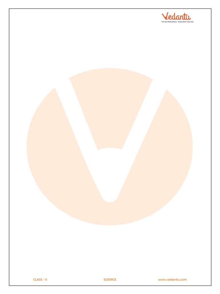 Chapter 15 - Our Environment | PDF | Ecosystem | Food Web