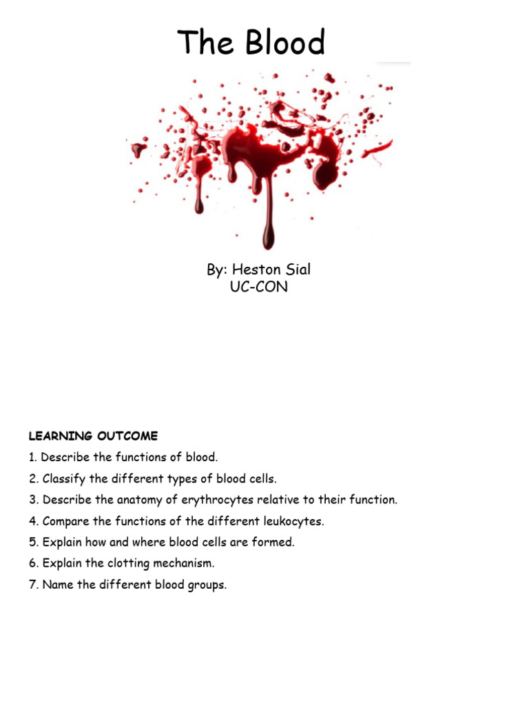 Cardiovascular System Blood Wk11 | PDF | Haematopoiesis | Blood Type