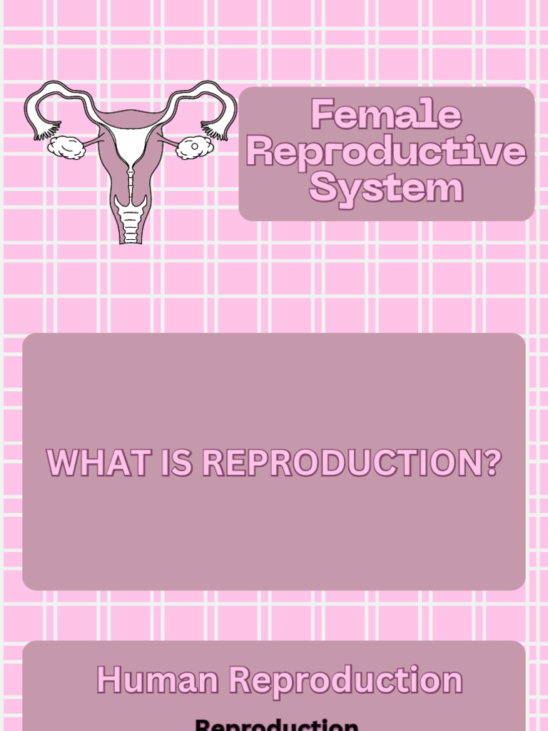 Female Reproductive System | PDF | Human Reproduction | Reproductive System