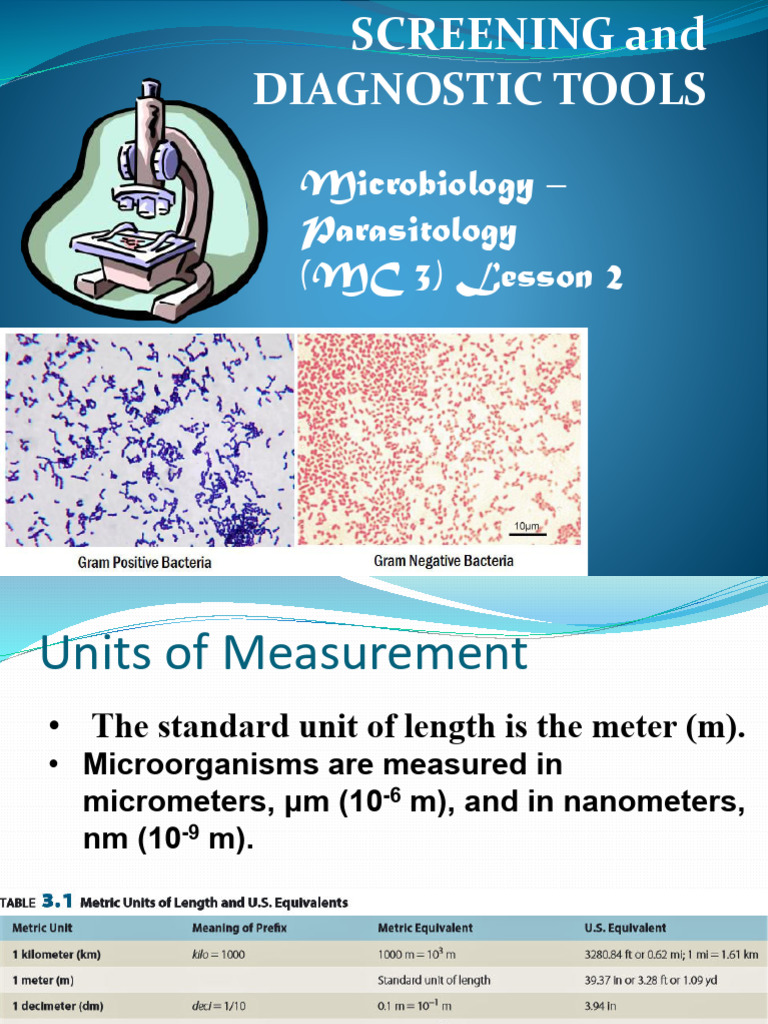 Lesson 2 Microscopy Staining | PDF | Microscope | Microscopy
