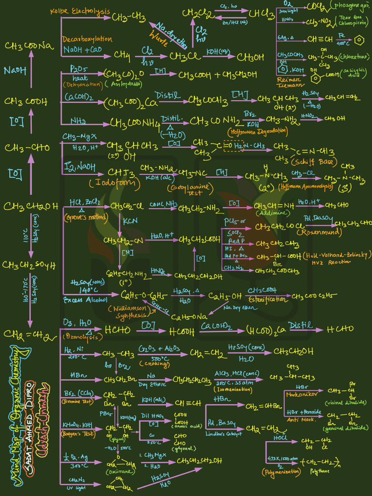 Organic Mind Map Dipro | PDF