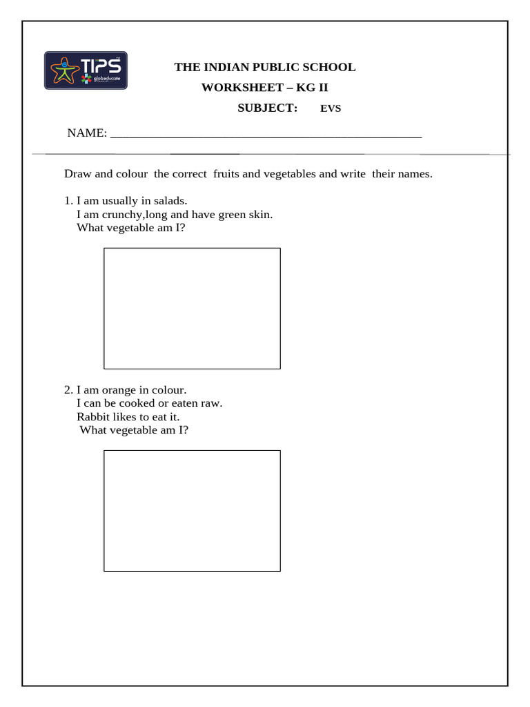 Evs Worksheet KG2 | PDF