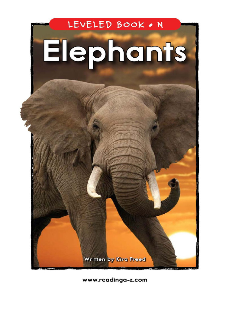 Elephants | PDF