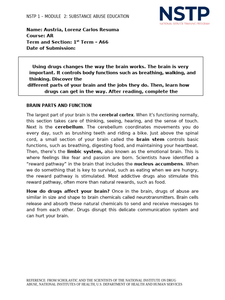 Understanding Brain Functions and Drugs | PDF | Brain | Reward System