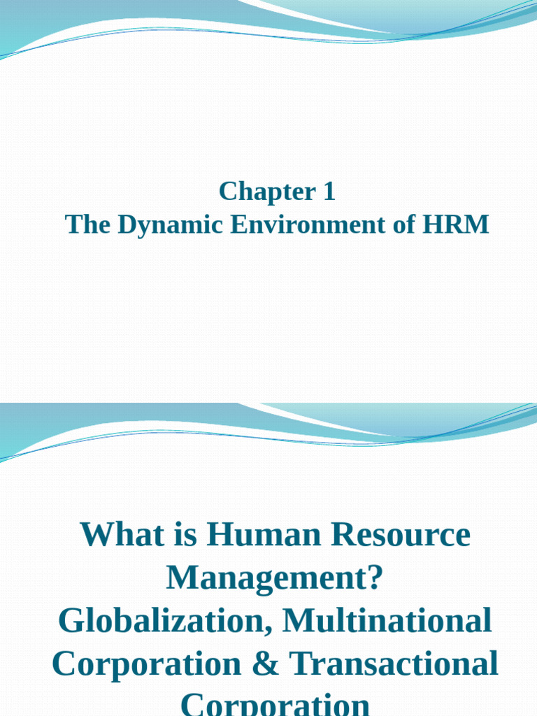 HRM in a Globalized World | PDF | Multinational Corporation | Human ...