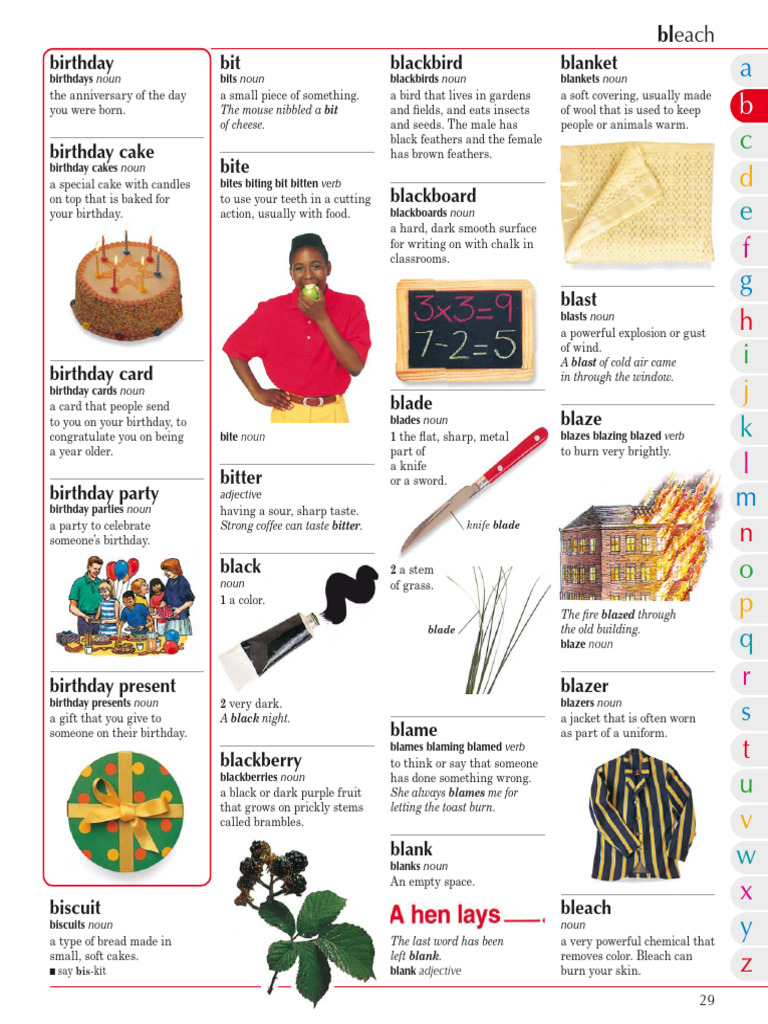 Essential Vocabulary for Birthdays and More | PDF | Birthdays