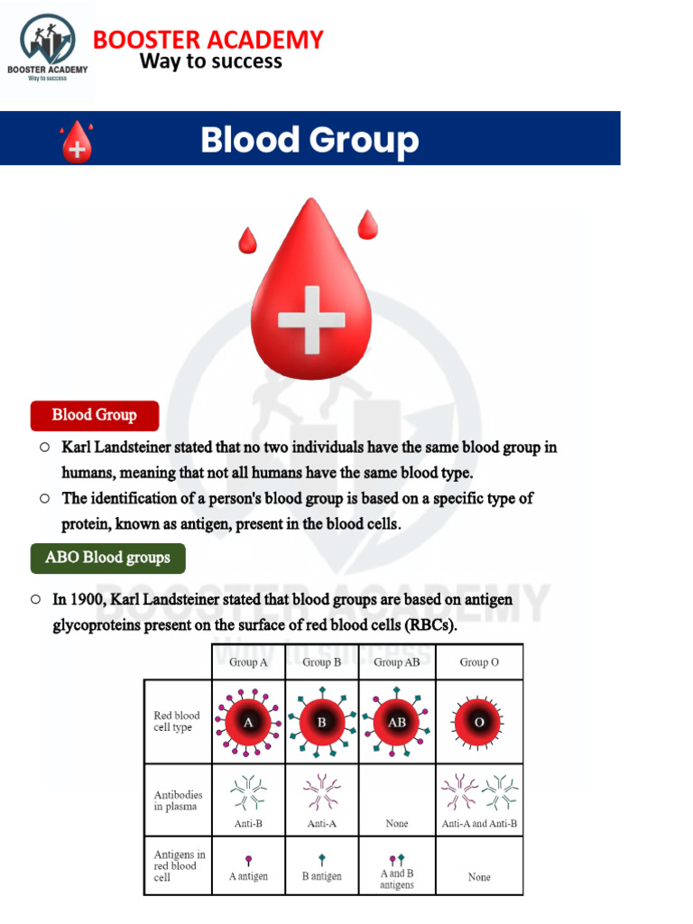 Blood Group & RH Factor in English | PDF | Blood Type | Anatomy