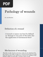 Understanding Skin Abrasions: Types & Causes | PDF | Injury | Wound