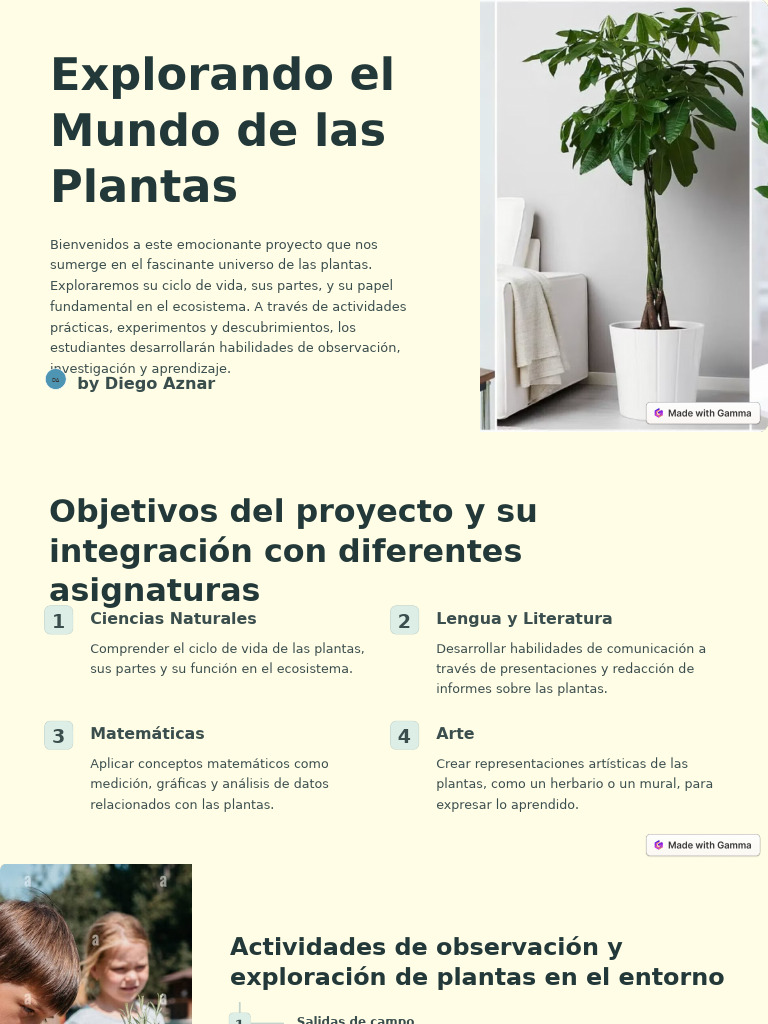Explorando El Mundo de Las Plantas | PDF | Plantas | Hoja