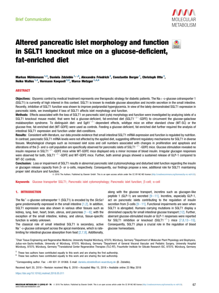 Altered Pancreatic Islet Morphology and Function in SGLT1 KO Mice On A ...