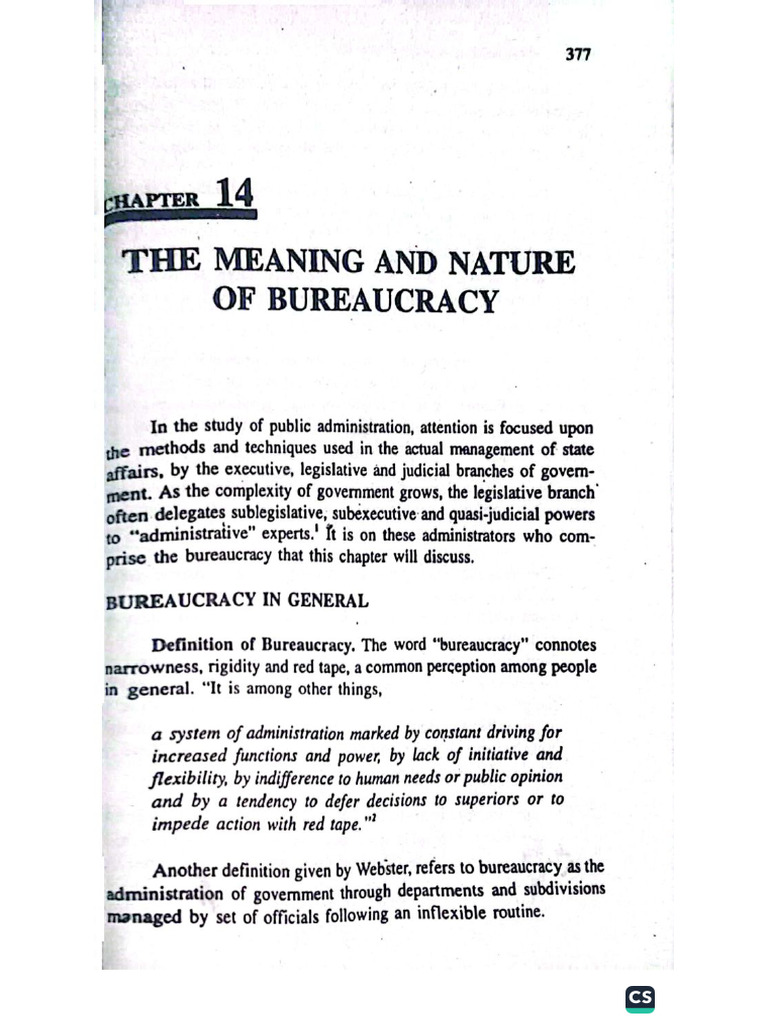 Bureaucracy &Local Gov | PDF