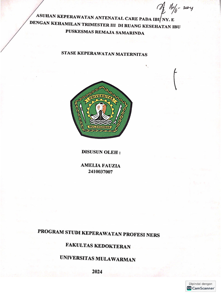 ASKEP Amelia (PKM - Remaja) | PDF