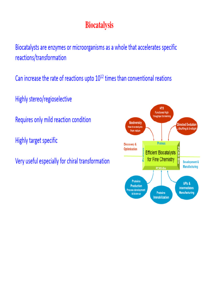 Biocatalysis and Process Development | PDF | Ozone Depletion | Enzyme