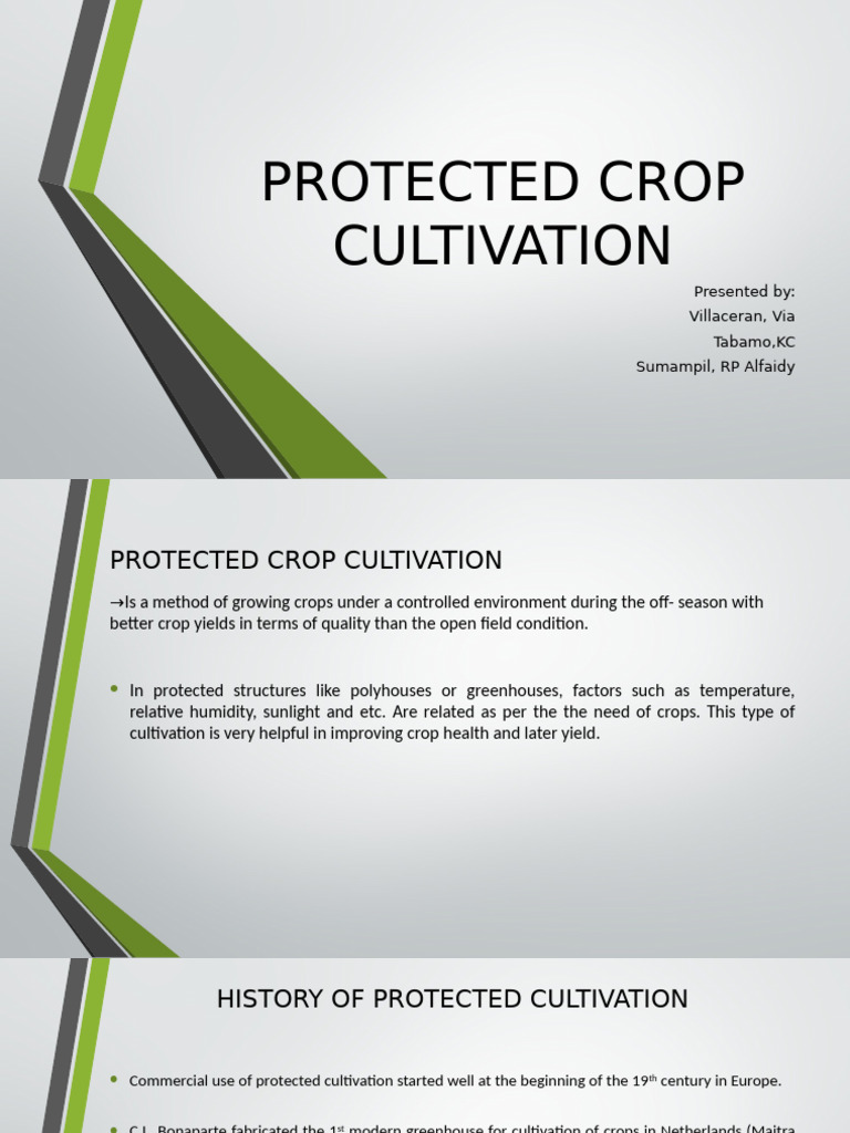 Protected Crop Cultivation Report | PDF | Greenhouse | Agriculture