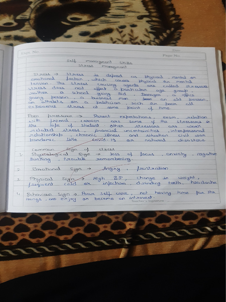 Computer Chapter 5 Self Management Skills | PDF