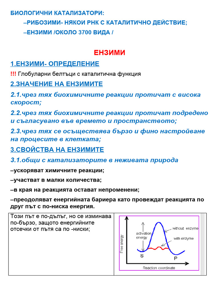 Biologie | PDF