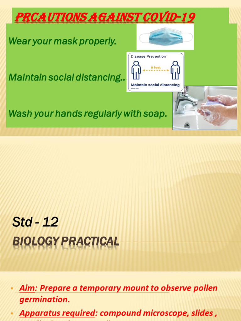 12 Bio Practical 1 | PDF