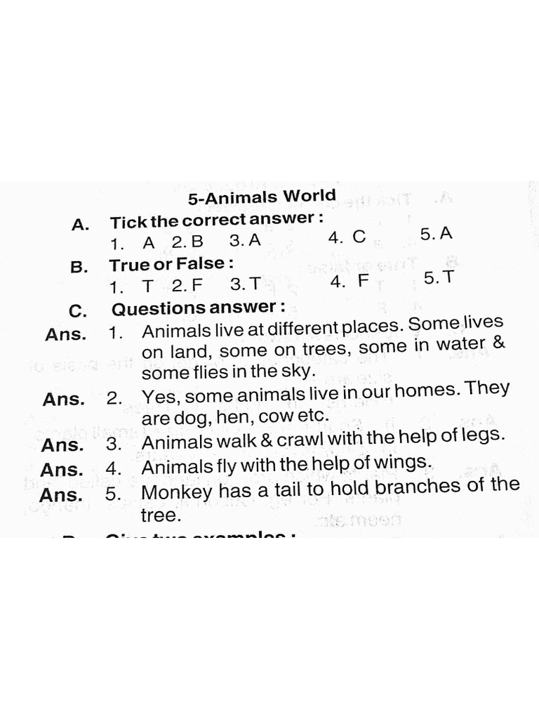 Chapter-5 Questions and Answers - Page 1 | PDF