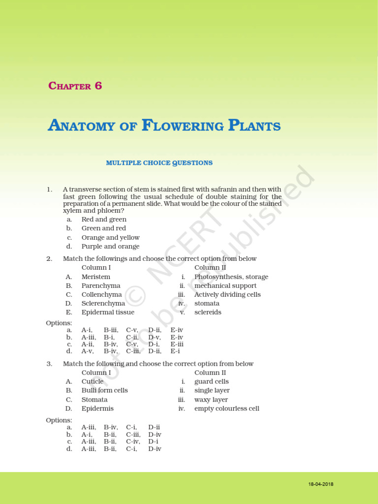Anatomy of Flowering Plants | PDF | Tissue (Biology) | Plant Stem