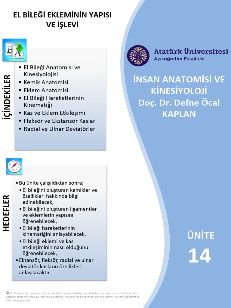 İnsan Anatomisi Ve Kinesiyoloji - 14.ünite El Bileği Ekleminin Yapısı ...