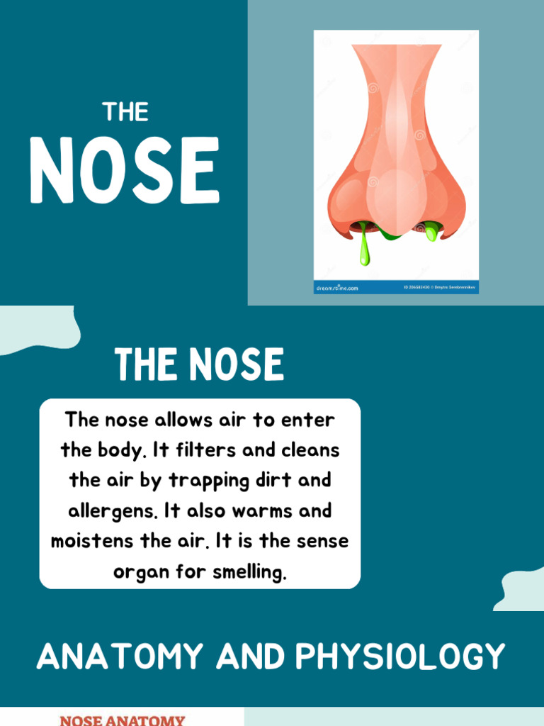 Nose | PDF | Human Nose | Clinical Medicine