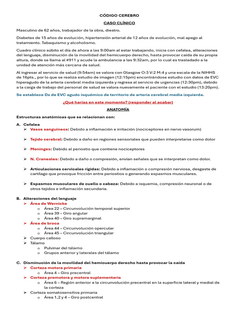 Resumen Mi Parte Código Cerebro | PDF | Cerebro | Hemisferio cerebral