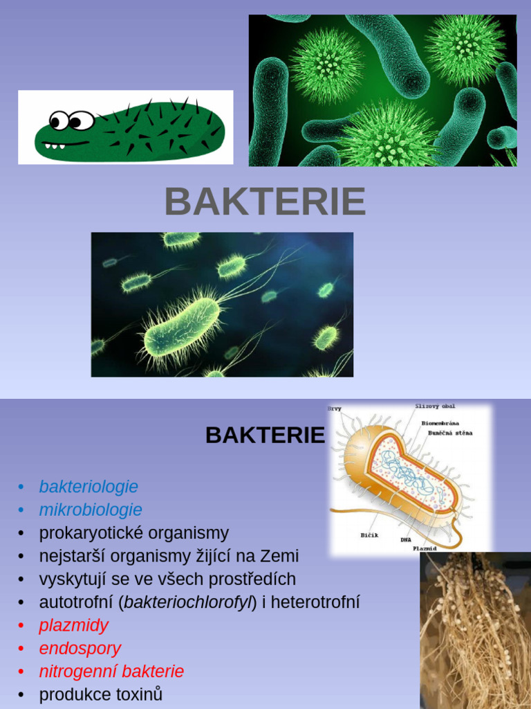 Bakterie, Sinice | PDF