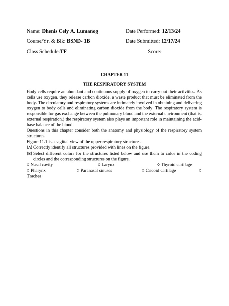 Respiratory System Study Guide | PDF | Respiratory Tract | Larynx
