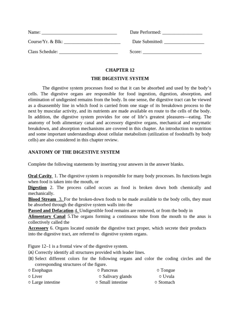 Lab Chapter 12 Digestive System | PDF | Digestion | Tongue