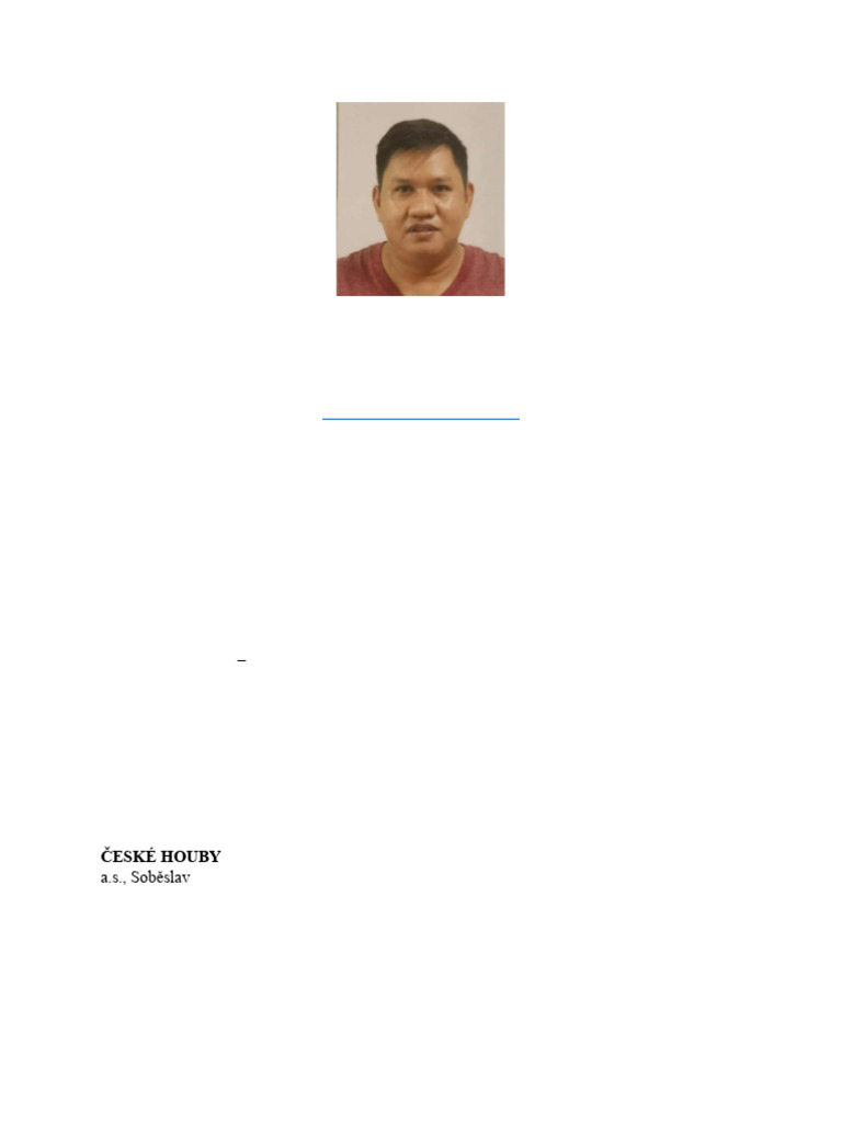 Mark Florentino's Resume PDF | PDF