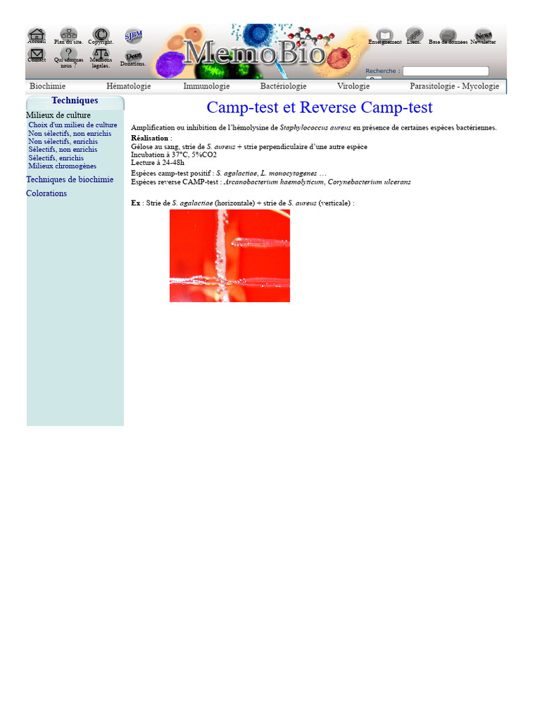 Camp-test et Reverse Camp-test | PDF