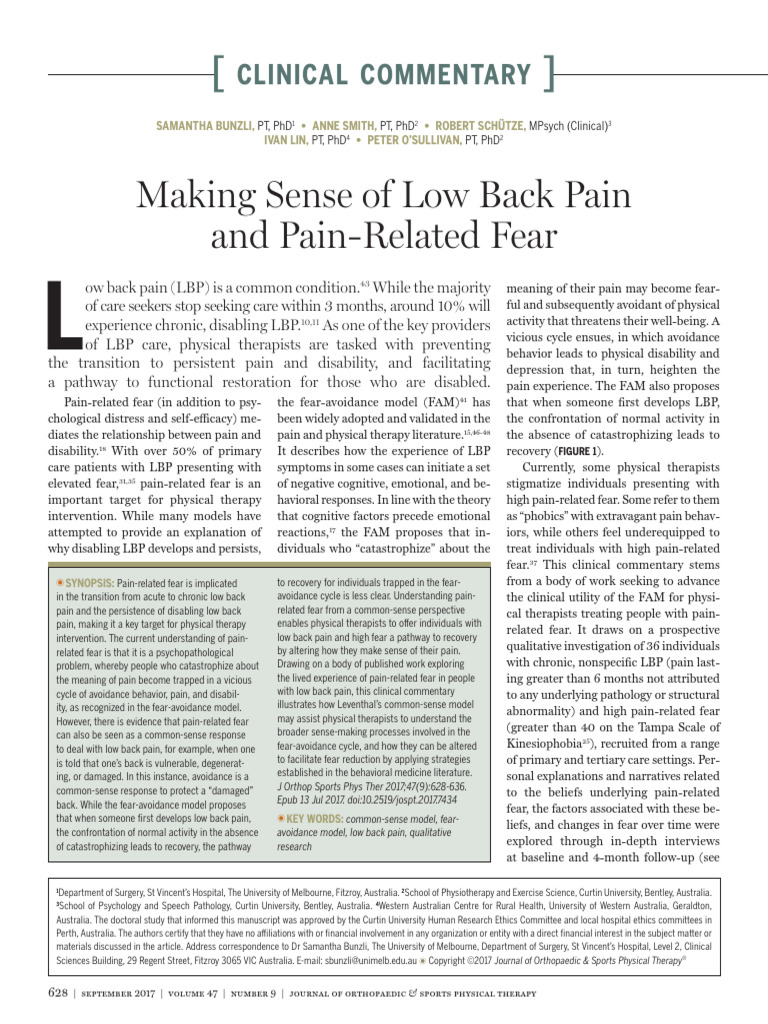 2017 Making Sense of Low Back Pain | PDF | Fear | Pain