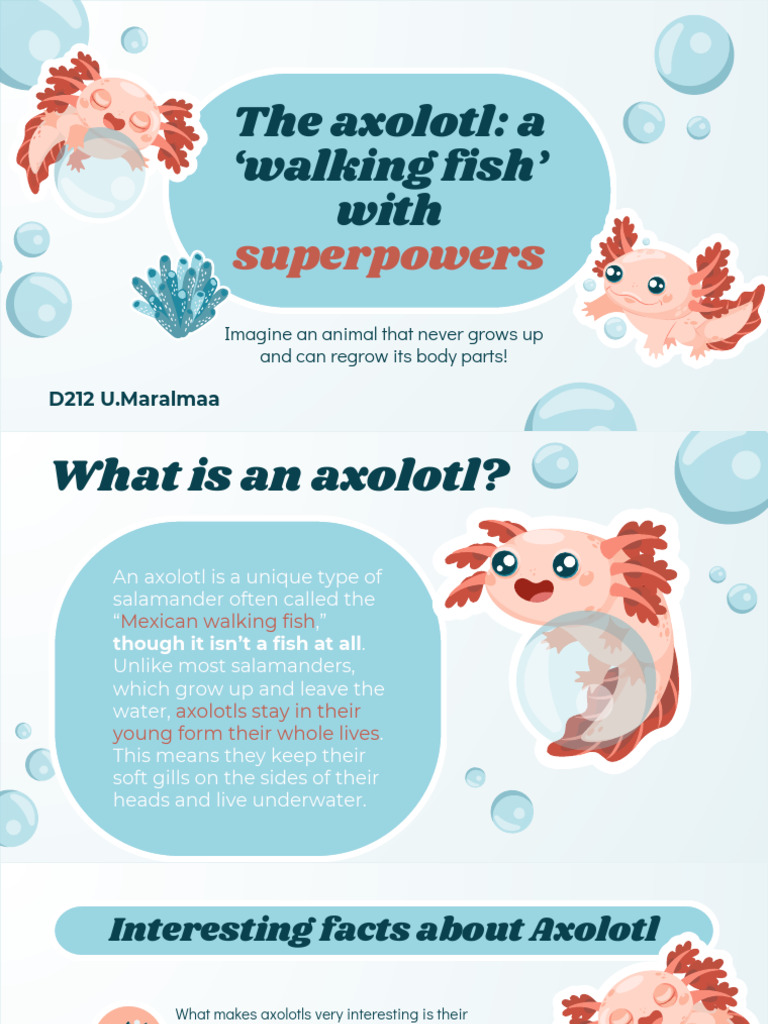 AEN111B-U.Maralmaa | PDF | Regeneration (Biology)