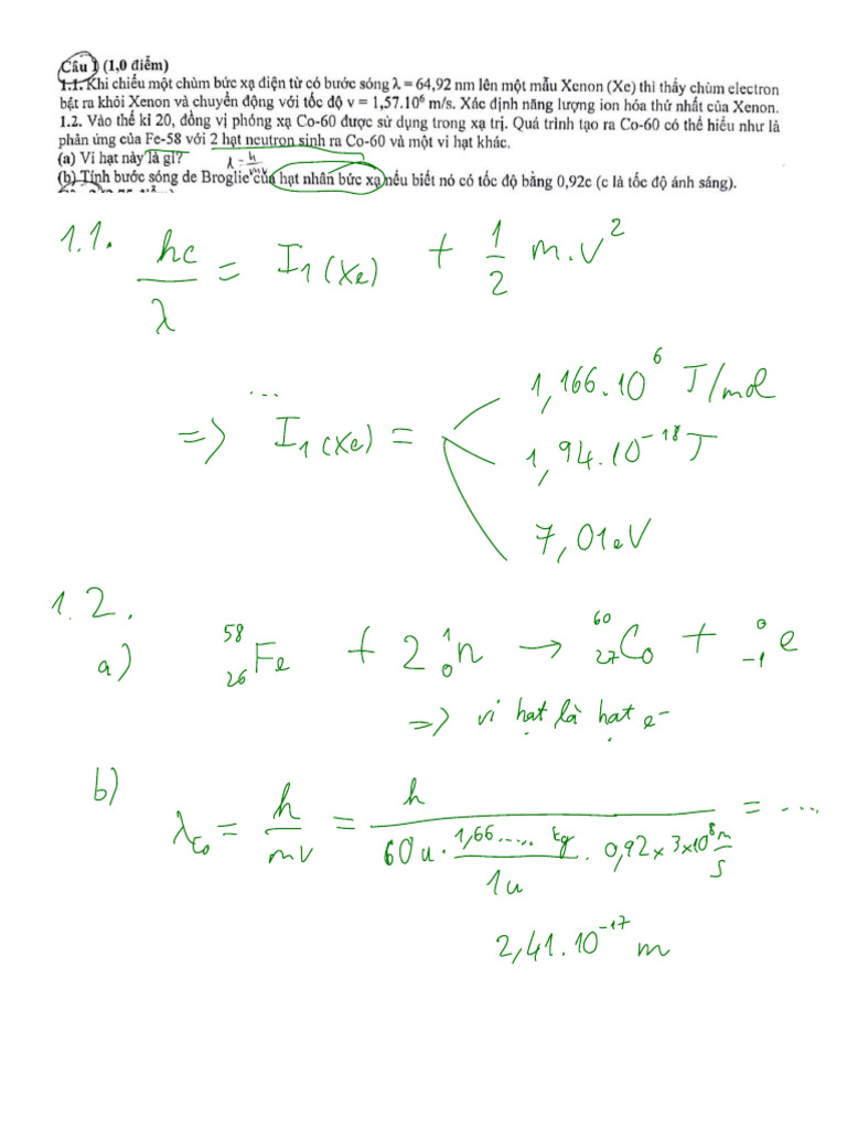 Iron Isotope Analysis and Calculations | PDF