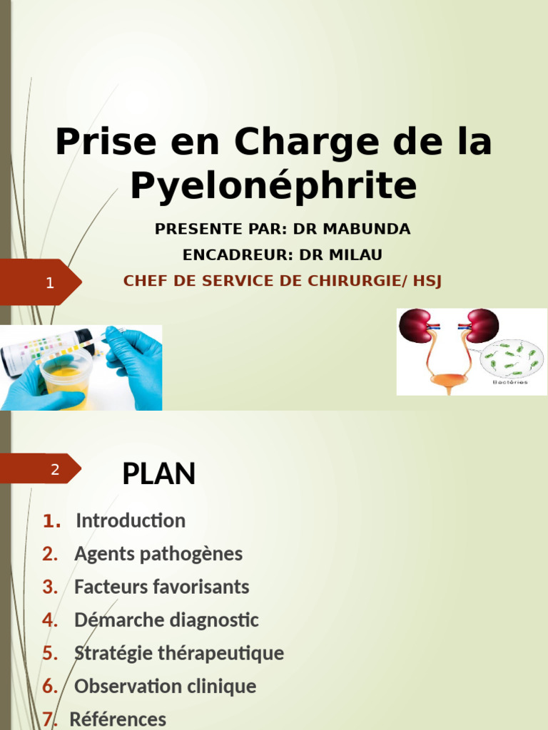 Dr Mabunda Fin | PDF | Immunologie | Système génito-urinaire