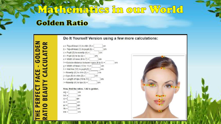 The Perfect Face Golden Ratio Calculator | PDF